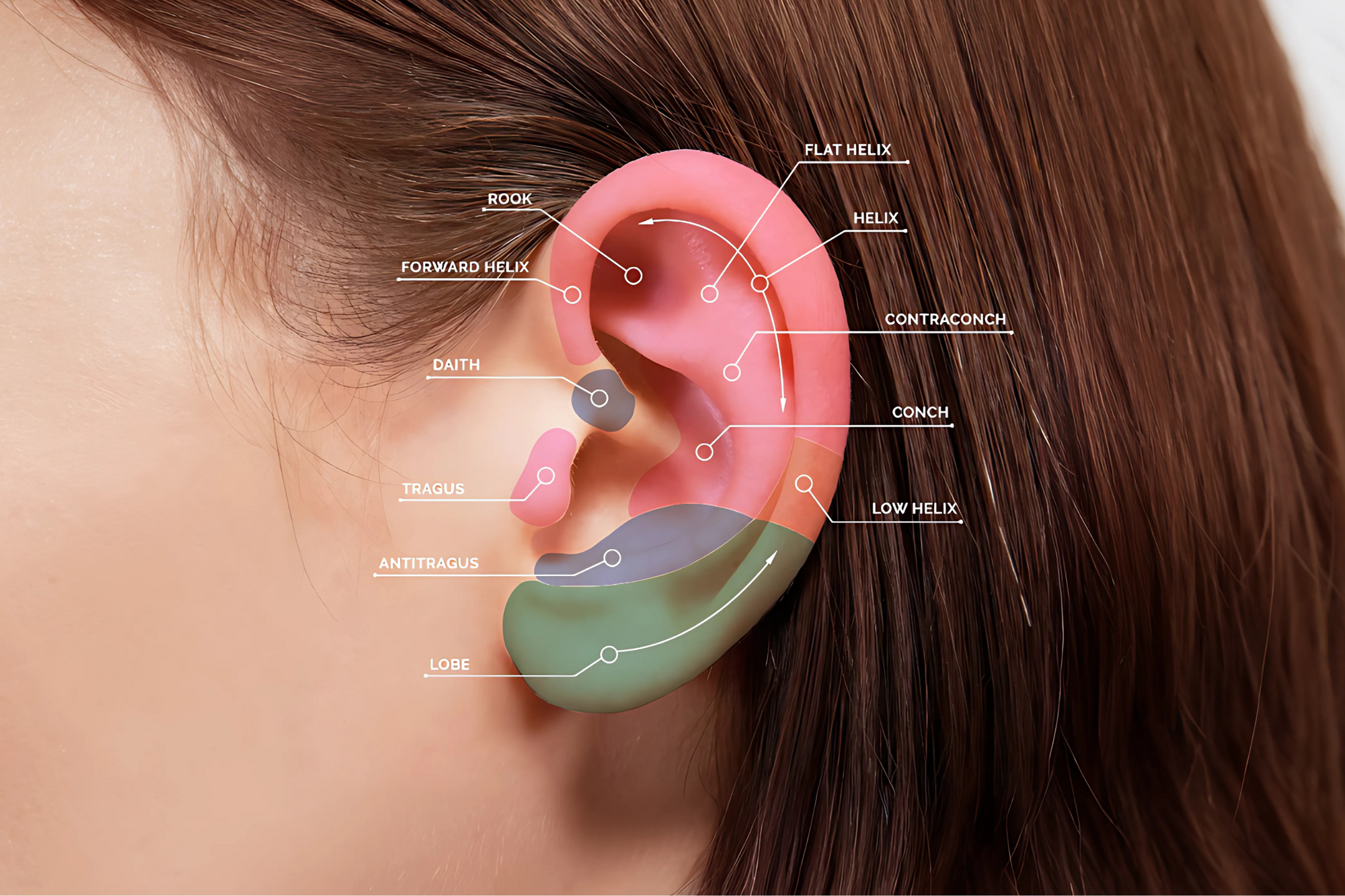 Ear Piercing Healing Time: How Long & How to Heal Faster – Lunia Atelier